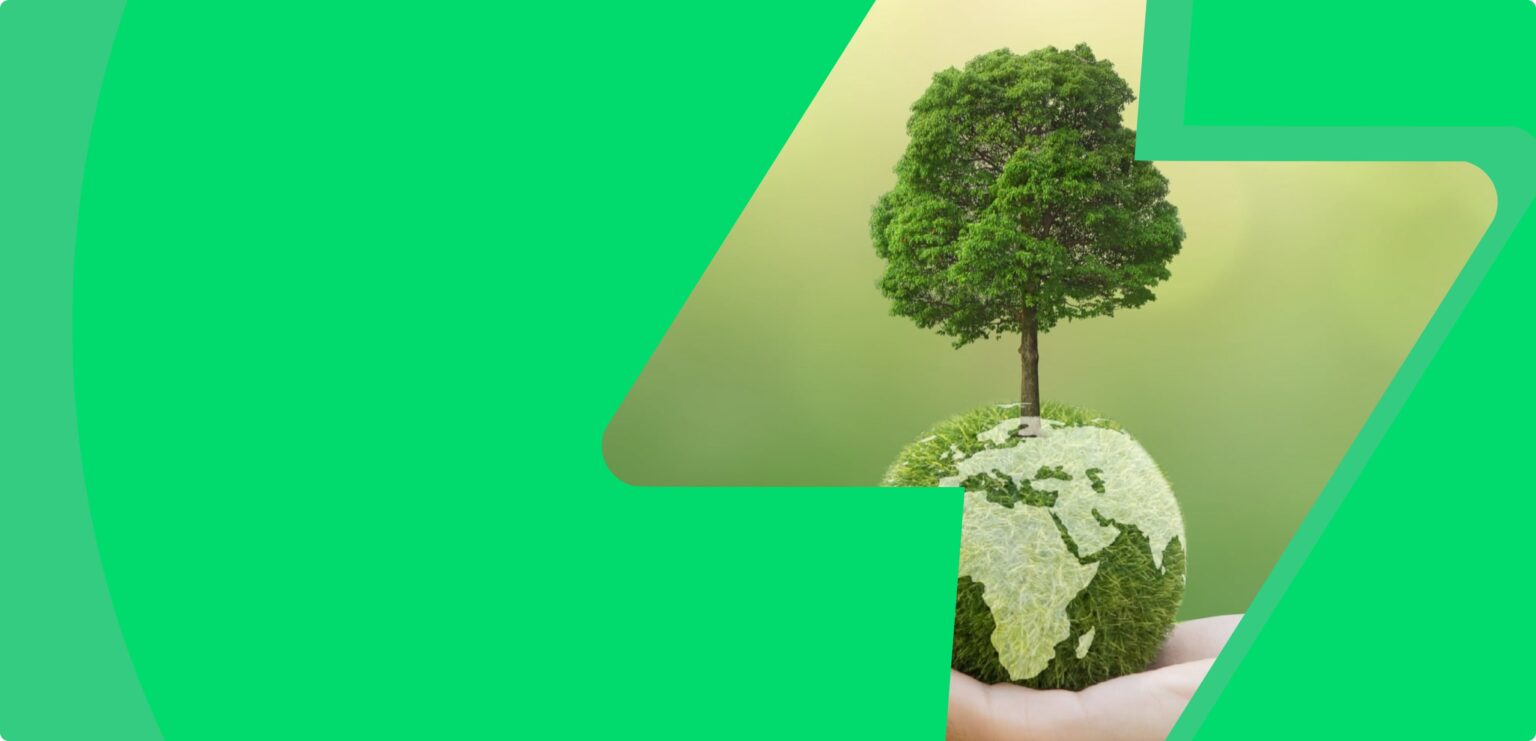 About Us - Zero Carbon Group