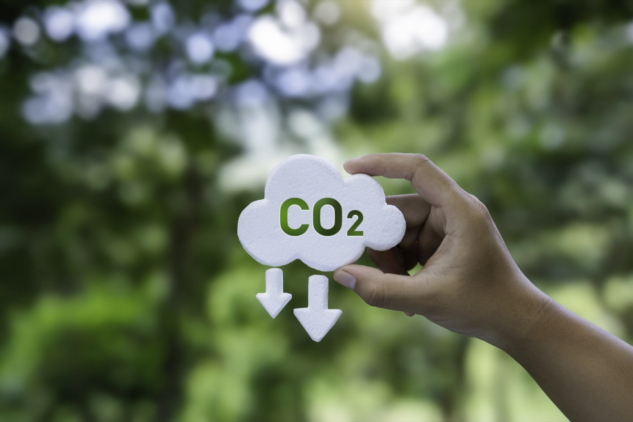 Renewable Energy Solution Provider - Zero Carbon Group